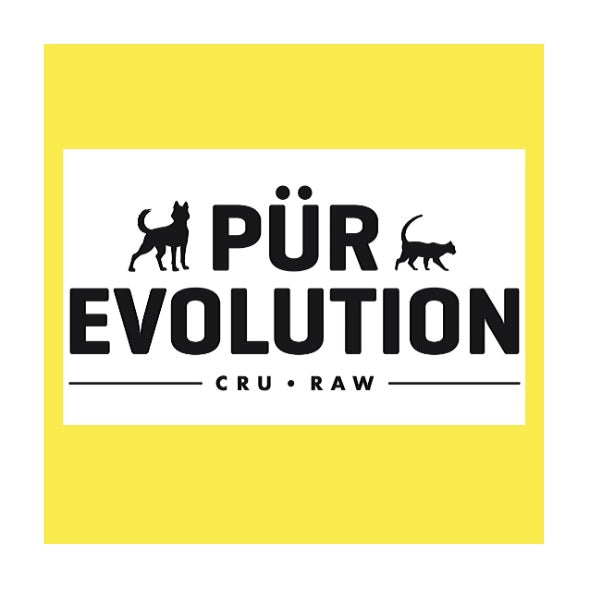 PÜR Evolution | La boite à Penny