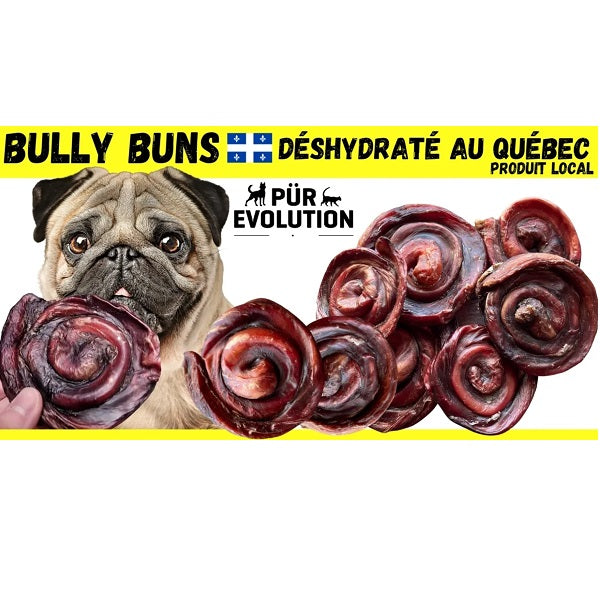 Pur Evolution Bully Buns Petit | La boite à Penny